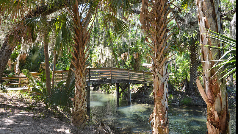 Gemini Springs | Blue Spring Alliance
